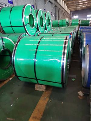 Cina Scoli di acciaio inossidabile 316l professionali in vendita