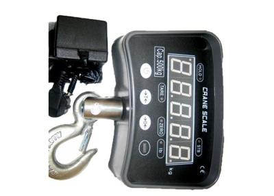 Cina 1000kg 220V Digital Crane Scale Heavy Duty elettronico in vendita