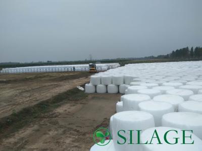 China Best Quality White Silage Wrap Film for sale