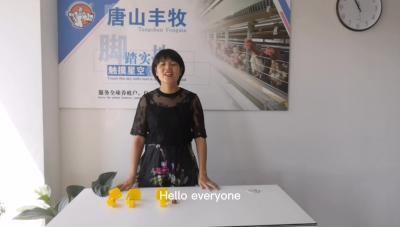 China automatic farm poultry equipment chicken nipple drinker with hanging cup for sale