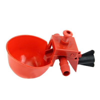 China Pigeonhole special water drinker chick automatic water drinker quail drinking bowl coop pigeon drinking bowl for sale