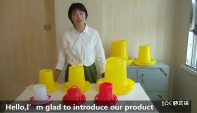 China factory price raw material farm poultry feeder for sale