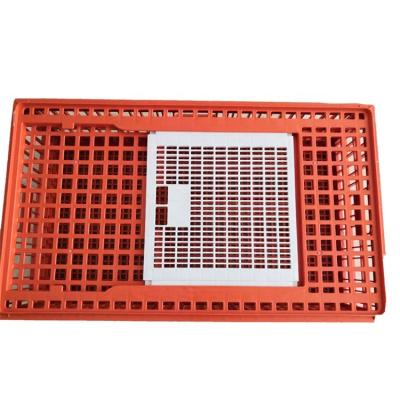 China Wholesale China plastic big size chicken crate for sale