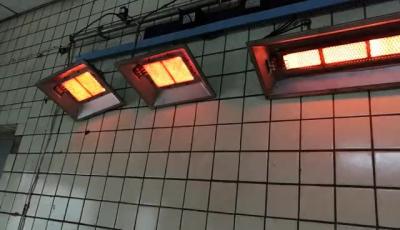 China chicken house heat equipment infrared heater auto 6808 gas brooder for sale