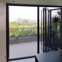 China Insect Resistant Retractable Screen Door Systems Screen Door for sale