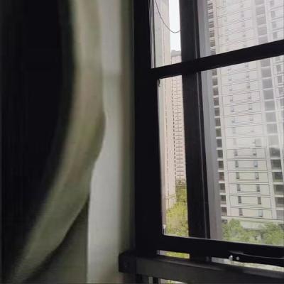 China Automated Roll Up Insect Screen Mesh Doors Retractable Style for sale