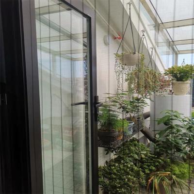 Cina Vetroresina nera Gray Mesh Retractable Screen Window Solutions in vendita