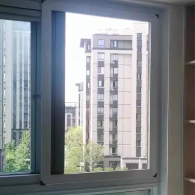 Cina Stoffa per tendine singolo Hung Window nero dell'alluminio della prova della zanzara in vendita