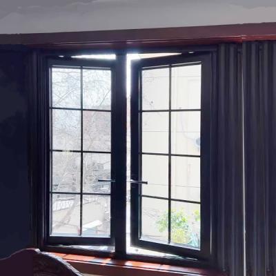 Cina Porta antizanzare ritrattabile singolo Hung Windows Easy Installed del rullo H2 in vendita