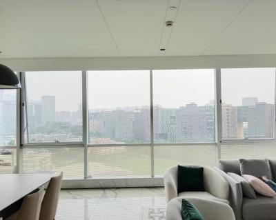 Cina Porte ritrattabili di zanzariera della zanzara 200*280cm 400*280cm in vendita