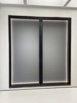 Cina Il nero di alluminio di ventilazione della porta antizanzare della porta di tempesta del ODM dell'OEM in vendita