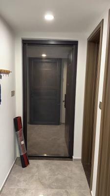 Cina Fly Screen Door Aluminum Alloy  Barrier Free Screen Door Curtain Mesh Fiberglass in vendita