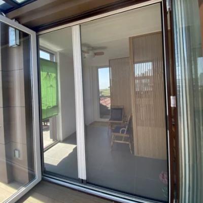 Cina Trackless Screen Door Black Aluminum Alloy Screen Doors For Home Outdoor 18*16 Mesh in vendita