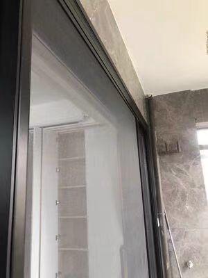 Cina Hot Sale Aluminum Alloy Frame Mosquito Net Retractable Trackless Screen Door With Flyscreens in vendita