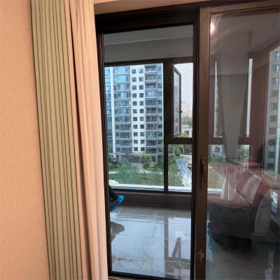 Cina Wholesale Retractable Mosquito Screen Door Frame Aluminum Alloy Barrier Free Fly Screen Door in vendita