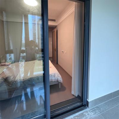 Cina Anti Mosquito Net Low Track Retractable Screen Door Custom Barrier Free Insect Fly Screen Door Fiberglass in vendita