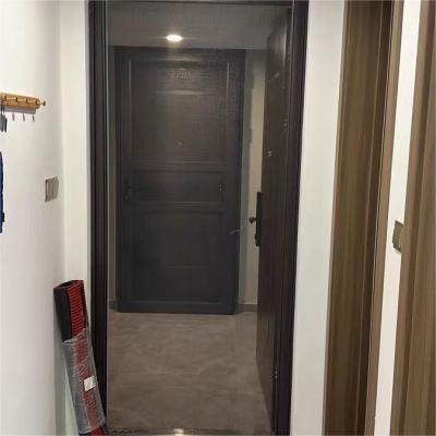 Cina Aluminum Alloy Frame Mosquito Net Double Retractable Screen Door Barrier Free Flyscreens in vendita