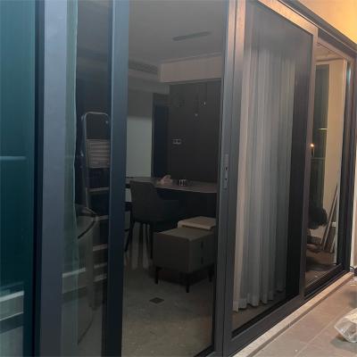 Cina Manufacturer Supply Aluminum Alloy Anti Mosquito And Insect Proof Sliding Fly Screen Door in vendita