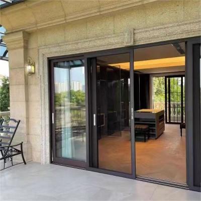 Cina Manufacturer Supply Aluminum Alloy Anti Mosquito And Insect Proof Sliding Fly Screen Door in vendita