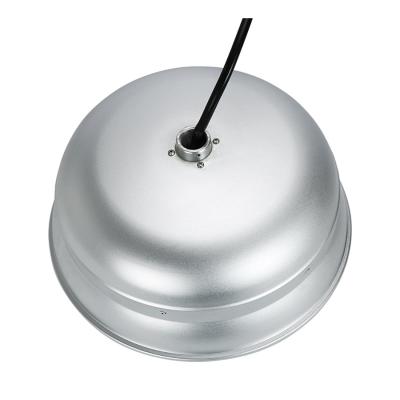 Cina L'alimento della carne fresca dell'alimento LED accende la forgiatura a freddo della verdura della frutta 36 watt in vendita