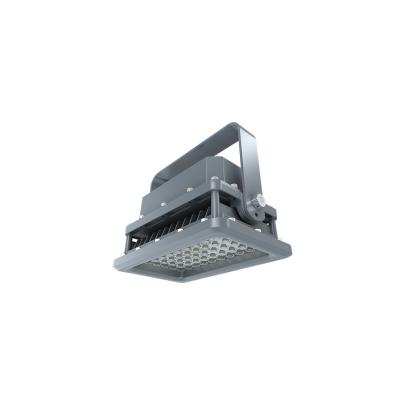 Cina Distributore di benzina IP66 con illuminazione a prova di esplosione per l'industria chimica da 100 W in vendita