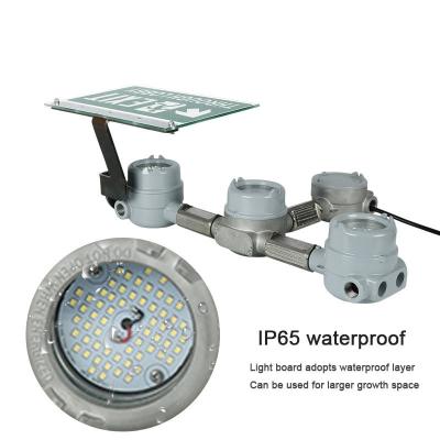China 3-6W à prova de explosão LED saída luz de emergência indústria química IP66 à prova d'água posto de gasolina à venda