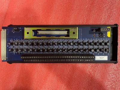 China ICS Triplex T8830 Trusted 40 Channel Analogue Input FTA for sale
