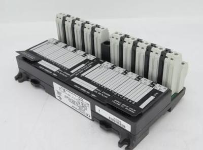 Cina IC670CHS002 Blocco terminale di I/O GE in vendita