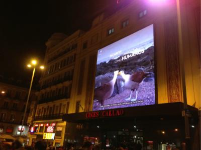 China Waterproof Outdoor LED Billboard Digital Advertising Screens SMD P10 LED Video Wall for sale