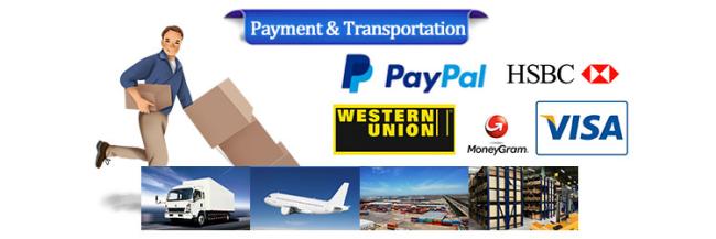 Payment