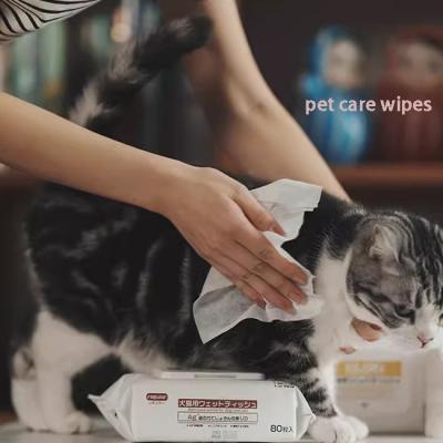 Cina 80 Large Pack Pulizzatrici Gatti Cani Pulizzatrici bagnati Senza lavaggio Senza deodorante Senza profumo Universale in vendita