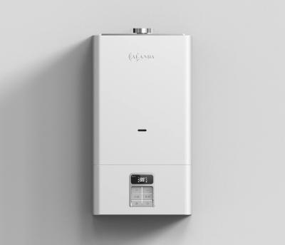 Cina Una mini caldaia a gas fissata al muro COMBI 24KW di 2 scambiatori di calore in vendita