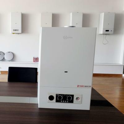 Cina parete Hung Combi Boiler di Hung Gas Boiler 24KW della parete di alta efficienza 220V in vendita