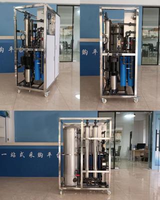 Cina 1000L/ Attrezzatura di trattamento delle acque del RO di acciaio inossidabile di H SUS304 per acqua in bottiglia in vendita
