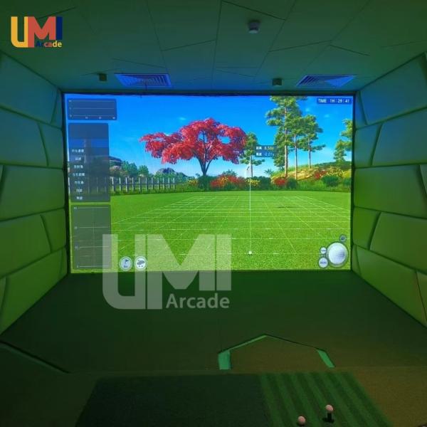 Quality High-Precision Indoor Golf Simulators Interactive Projection Golf Simulator for sale