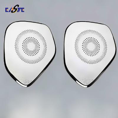 China Precision Etched Car Speaker Grill Mesh Optimized for Superior Acoustic Transparency for sale