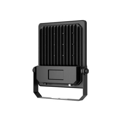 China High Efficiency 150W Flood Light 50 Watt Flood Light Fixtures  For Garden Lighting Landscaping for sale