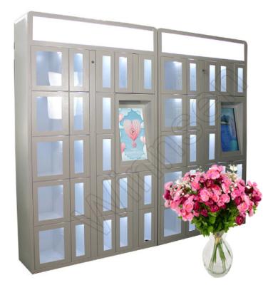 Cina Smart 24 ore di uovo che vende gli armadi lavora la verdura a macchina convenzionale di self service in vendita