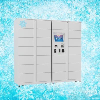 Cina Winnsen ha refrigerato la frutta astuta dell'armadio dell'alimento su misura in vendita