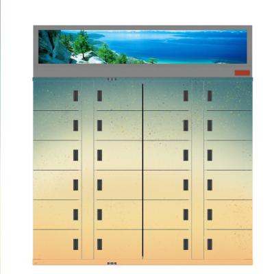 Cina Sistema di Android del touch screen di Winnsen dell'armadio refrigerato merci dei fiori in vendita