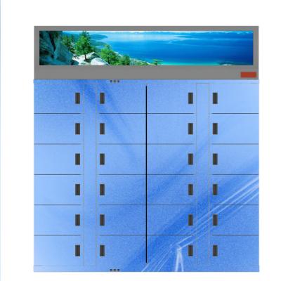 Cina Armadio elettronico refrigerato di verdure delle merci di Smart dell'armadio di Winnsen in vendita