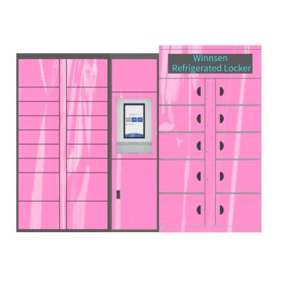 China Winnsen Cabinet Vegetable Refrigerated Locker Electronic Storage Smart Lockers for sale