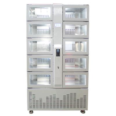 Cina Armadi refrigerati a temperatura controllata astuti 240V per l'uovo 7/a 15 pollici della carne in vendita