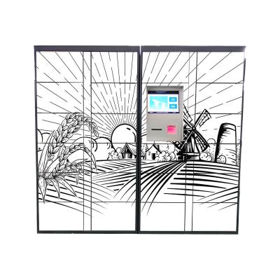 China CRS Smart Parcel Delivery Locker PIN Coden Access Optio Click And Collect For Shopping Mall for sale