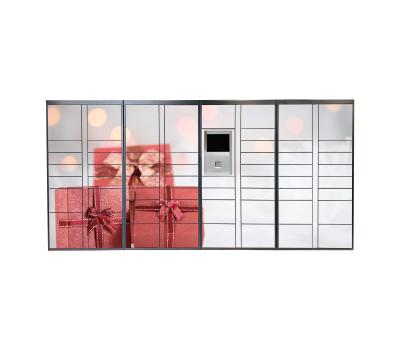 China Logistics Self Service Outdoor Touch Screen Smart Parcel Delivery Locker With Remote Control Camera for sale