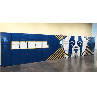 중국 윈센 스마트 패키지 로커 자수 전자 캐비닛 판매용