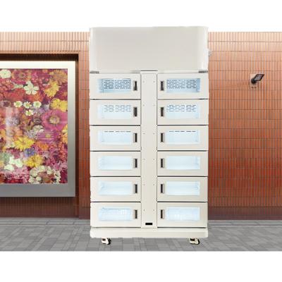 China Fresh Food Smart Cooling Refrigerated Locker For Supermarket Online Sales for sale