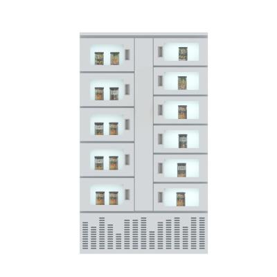 Cina Smart Vending Locker refrigerato per ortaggi e carni con sistema di controllo remoto in vendita