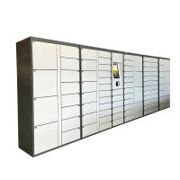 China Customized Smart Multi User Delivery Solutions Intelligent Parcel Storage Locker for sale