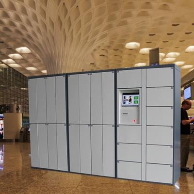 China Ce-Self - service Digitale Automatische Kast, Aangepaste de Systemen van de Chemisch reinigenkast Te koop